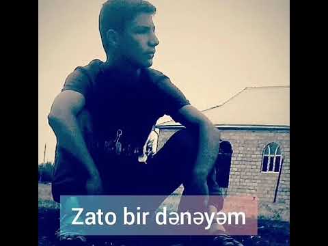 Elvin