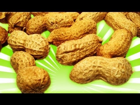 Two Peanuts - 10/23/2011 - Joke of the Day - YouTube