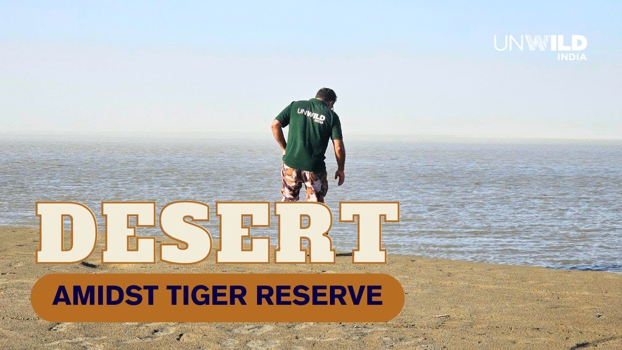 A Desert of Pilibhit Tiger Reserve - YouTube