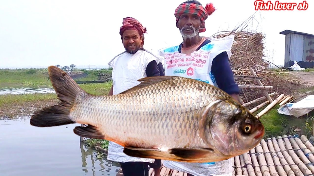 🐟 Amazing Big fishing Binay Babu caught big fish in the pond around the ...