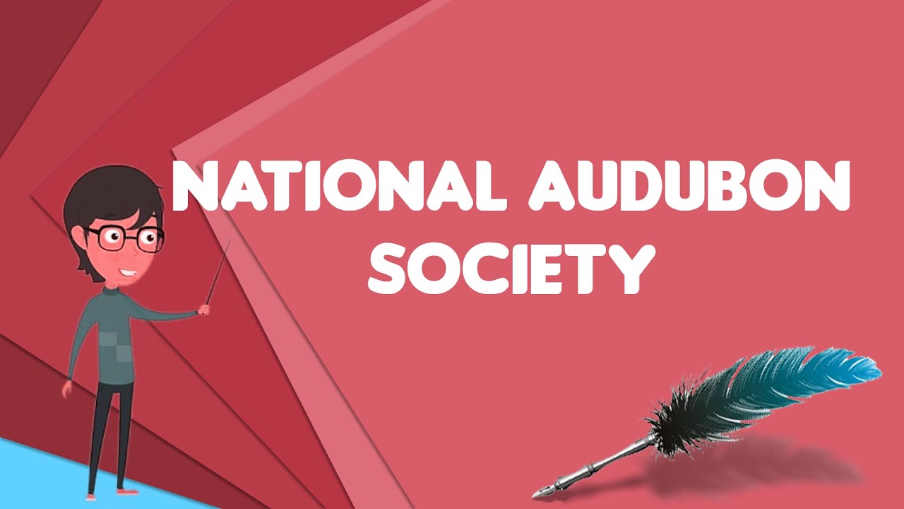 What is National Audubon Society?, Explain National Audubon Society ...