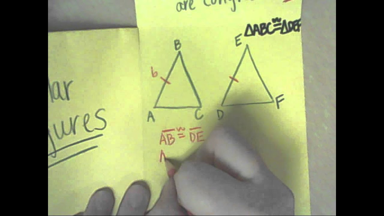 Similar Figures/Congruent Figures Foldable - YouTube