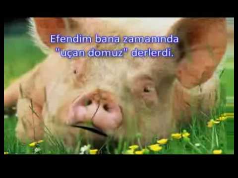 GAVAT BAYBUNAK SUS İKİ DAKKA!!!