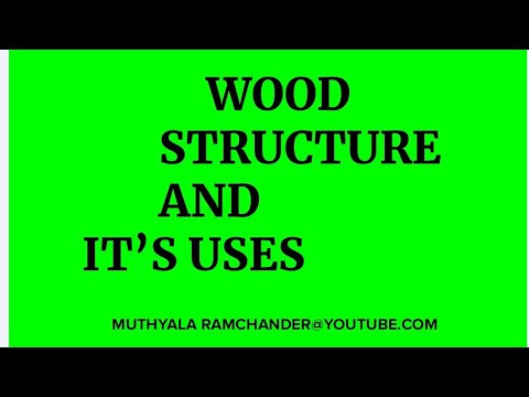 WOOD STRUCTURE AND IT'S USES. - YouTube