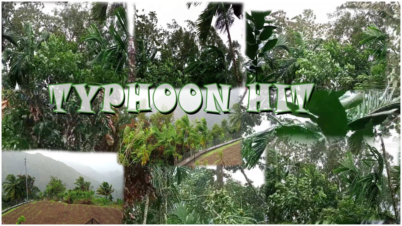 hagupit ng bagyo November 2024 | typhoon hit November 2024 - YouTube