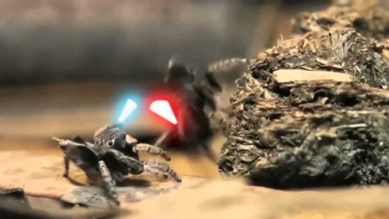 Jedi Spiders knights - YouTube