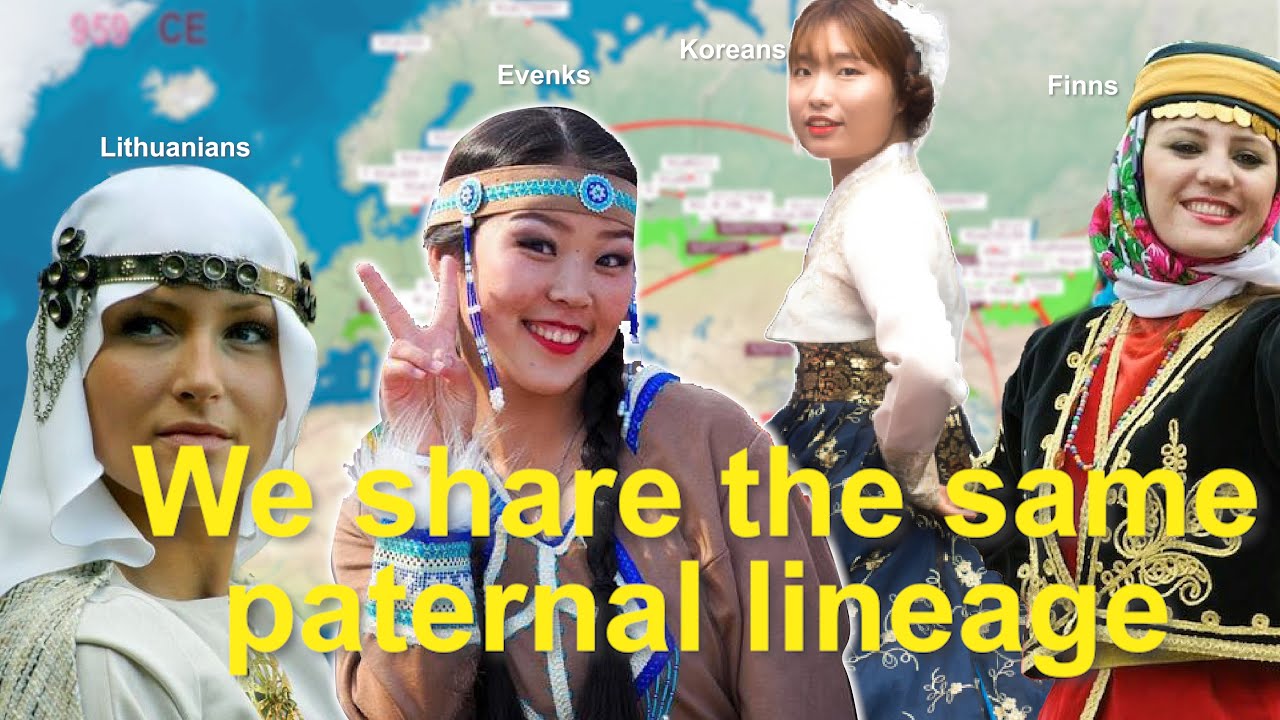 One of the paternal lines of northern Europe, Y-DNA haplogroup N, came ...