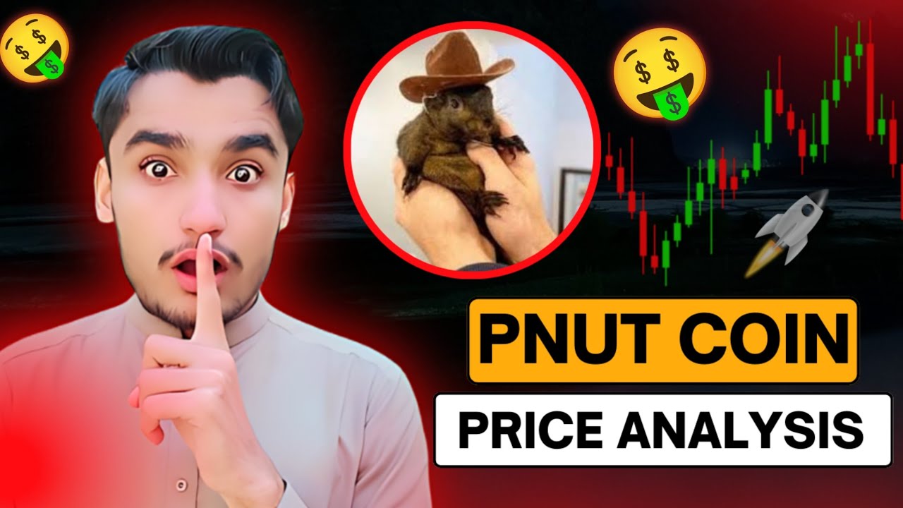PNUT Coin Price prediction and News Today | PNUT Coin Next Possible ...