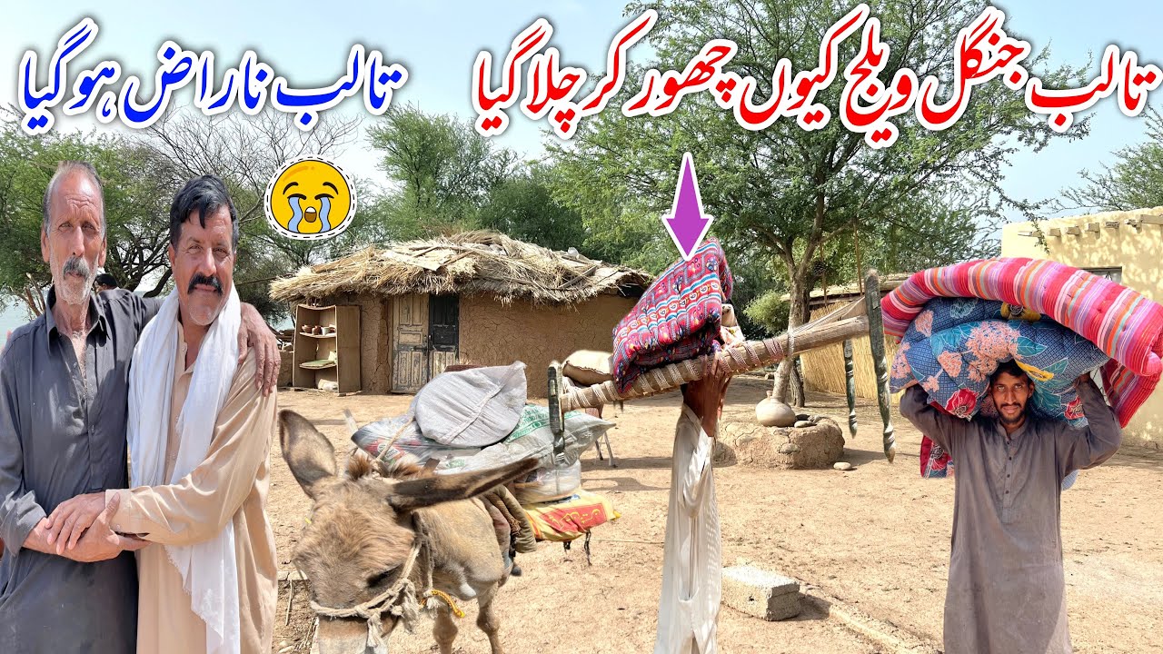 Why did Talib leave the jungle village | Talib got upset 😳 - YouTube