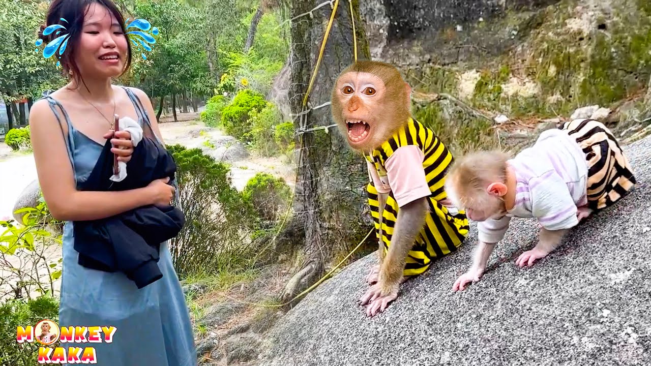 Monkey Kaka protects Monkey Mit when strangers approach - YouTube