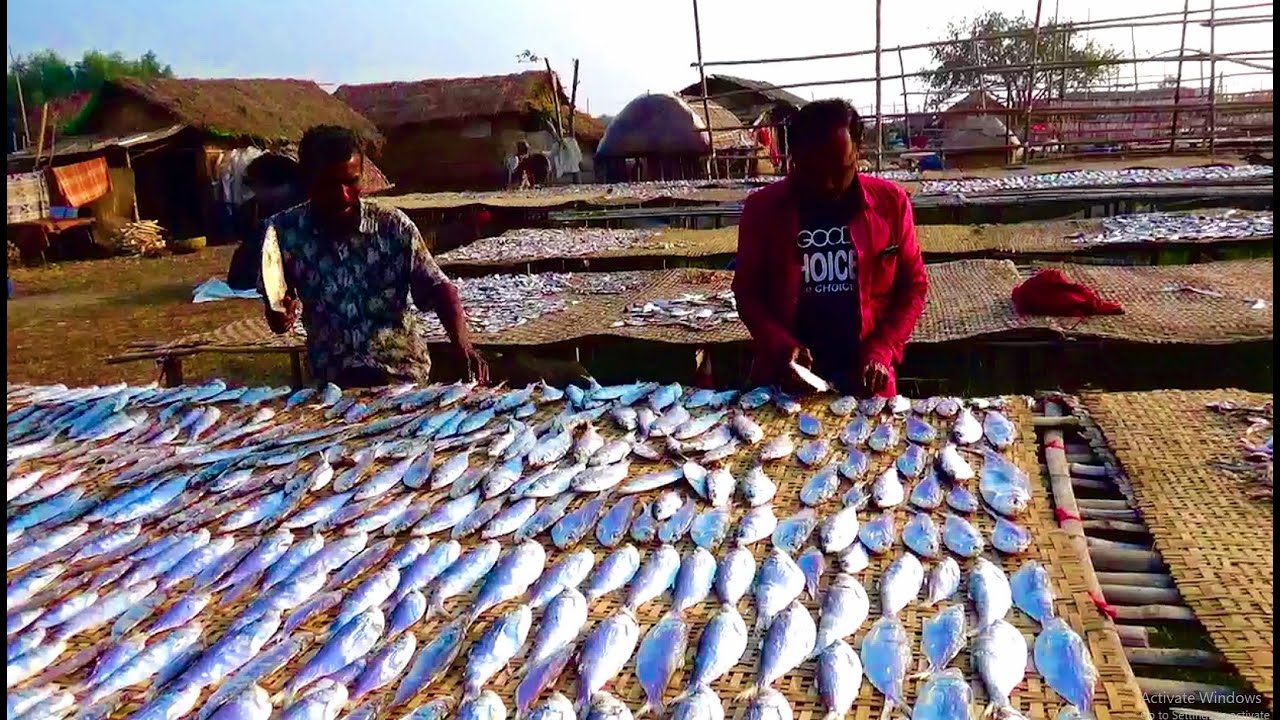 Dry Fish | Dry Fish Making Process | Sea Fish | Village Food. - YouTube