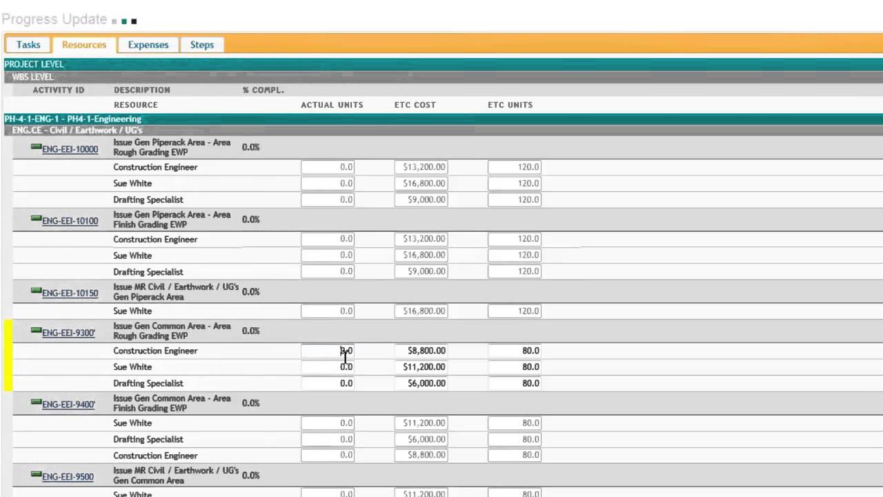 What is CAPPS? A Capital Project Progressing System For Primavera P6 ...