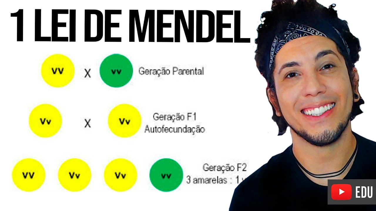 Primeira Lei de Mendel - MELHOR AULA DE GENÉTICA │Biologia com Patrick Gomes - YouTube