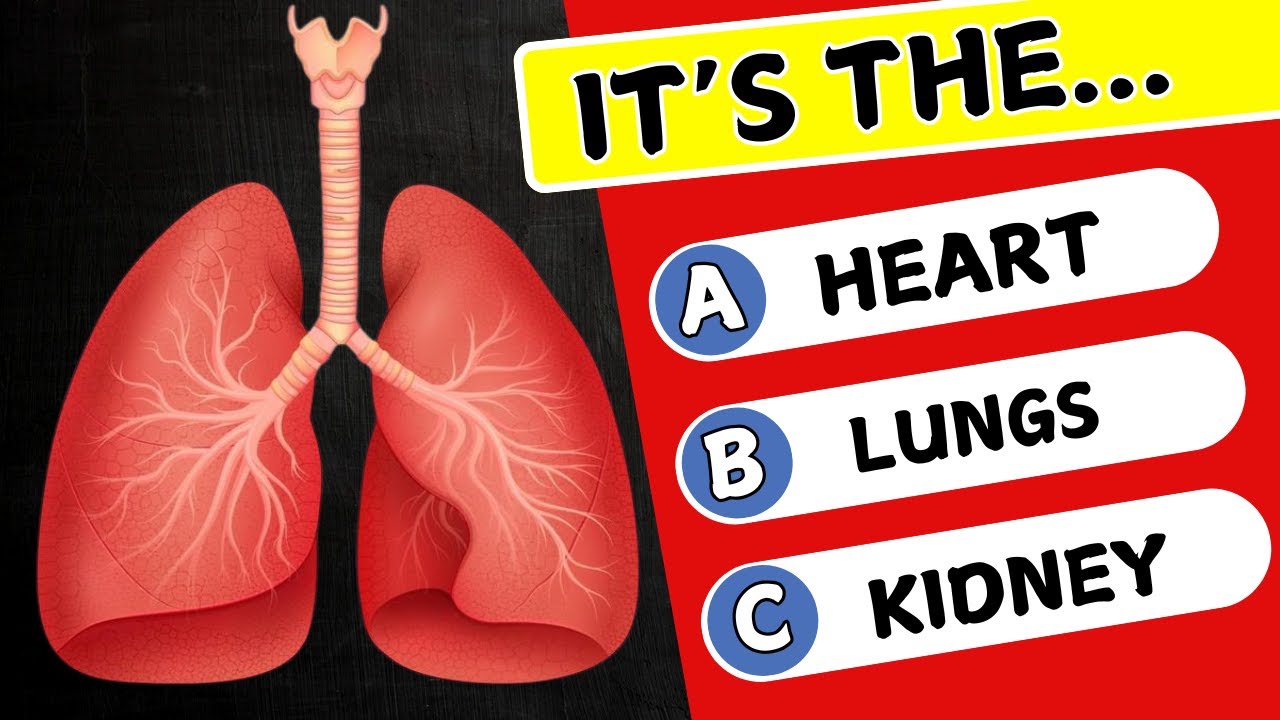 How Well Do You Know the Human Body? Take this General Knowledge Quiz ...