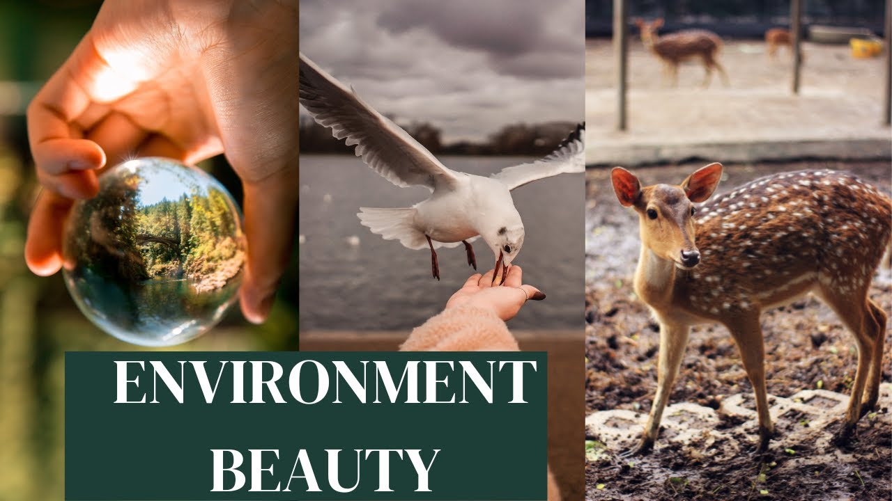 Environment beauty | coming soon videos | wait for videos| lovely ...