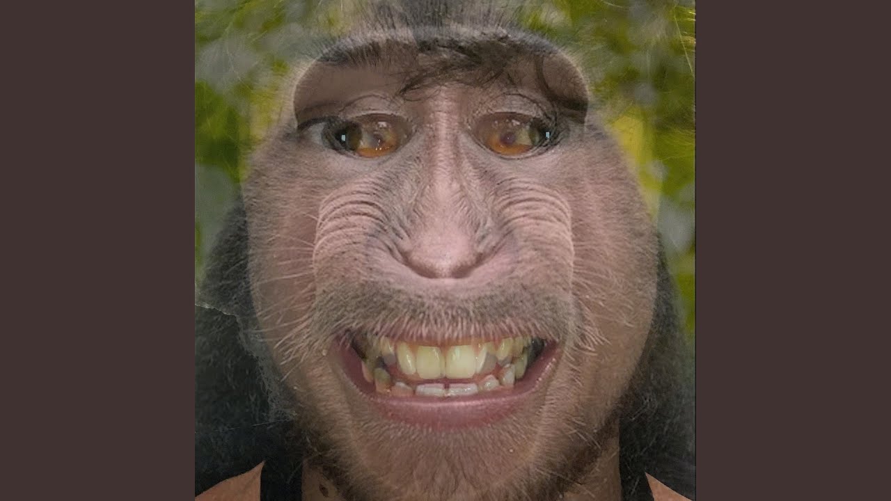 Return to Monkey - YouTube