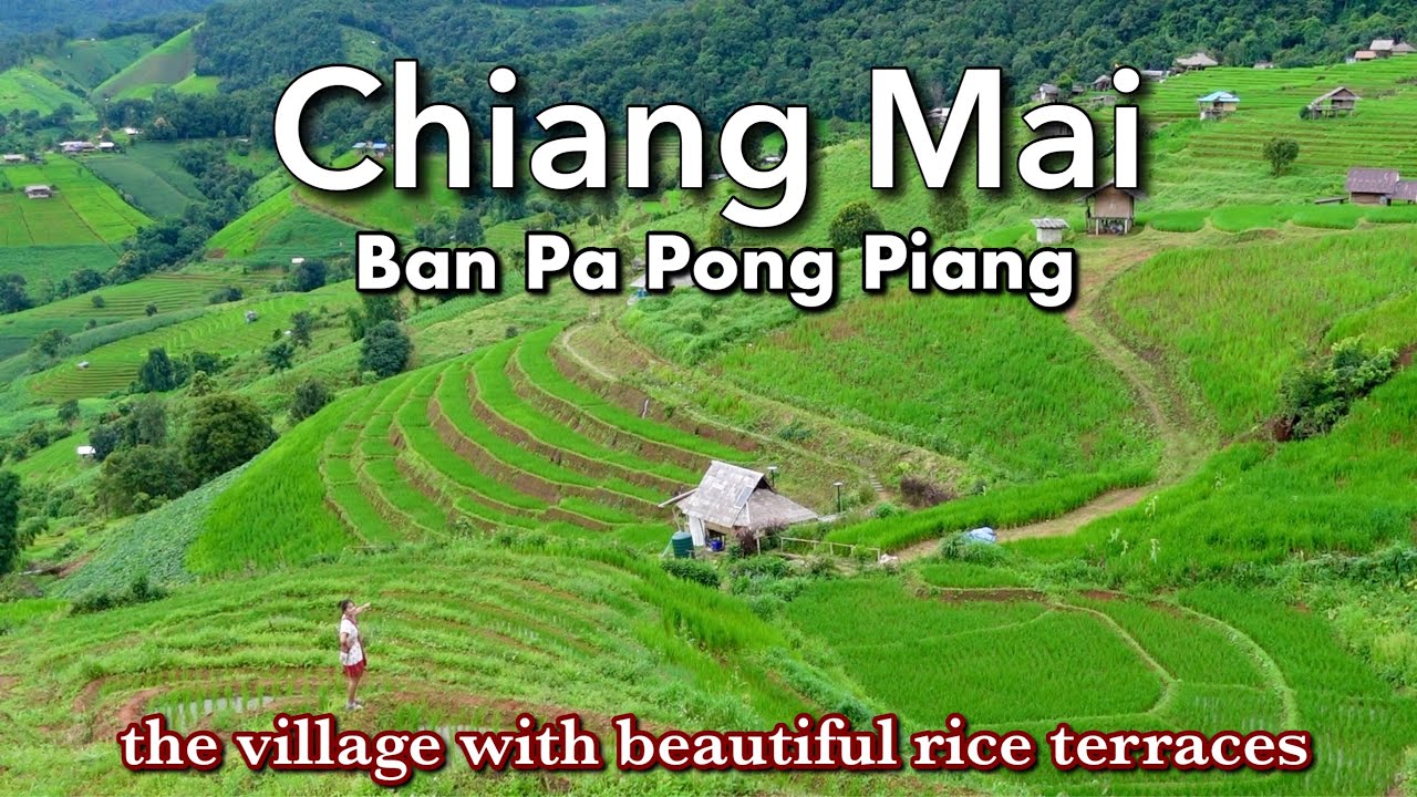 Ban Pa Pong Piang : the tiny villages with beautiful rice terraces in Chiang Mai, Thailand - YouTube