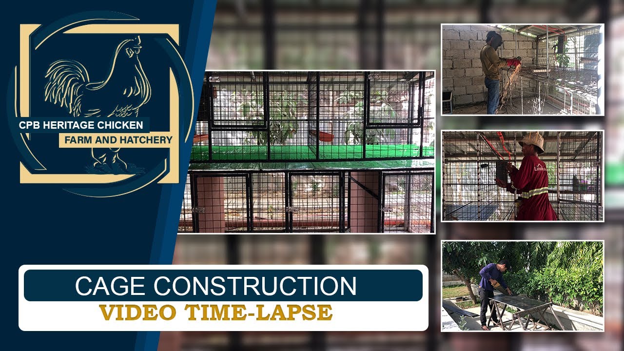 PAANO GUMAWA NG KULUNGAN NG MGA MANOK: CHICKEN CAGES DESIGN and ...