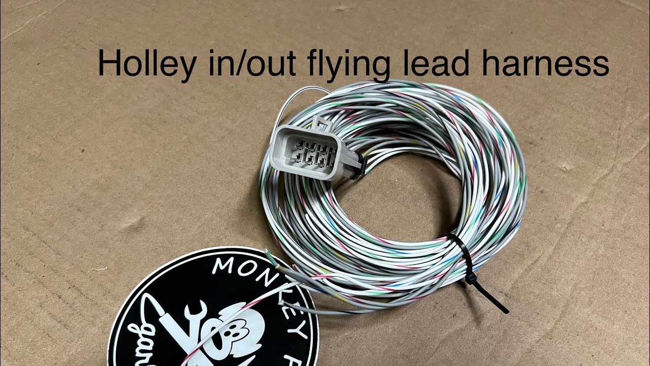 Holley in/out flying lead harness. - YouTube