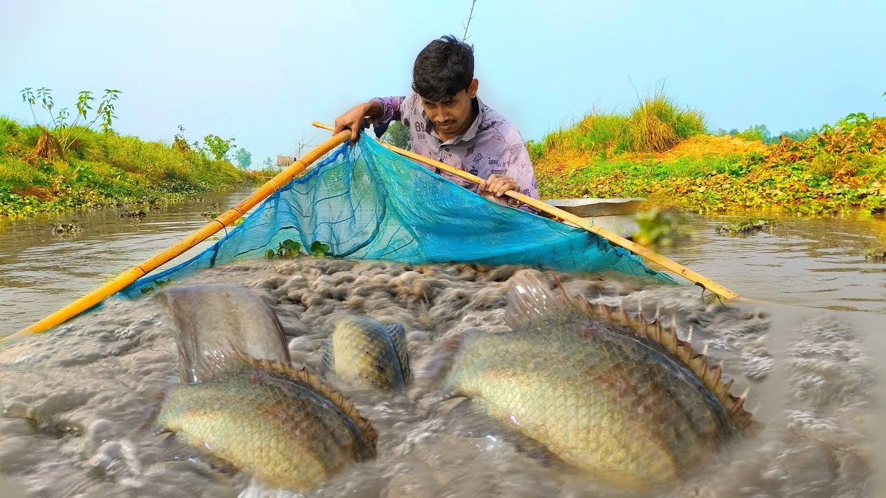 Underwater Cast Net Fishing~ River Catch Netting~ Best Fish Catching ...