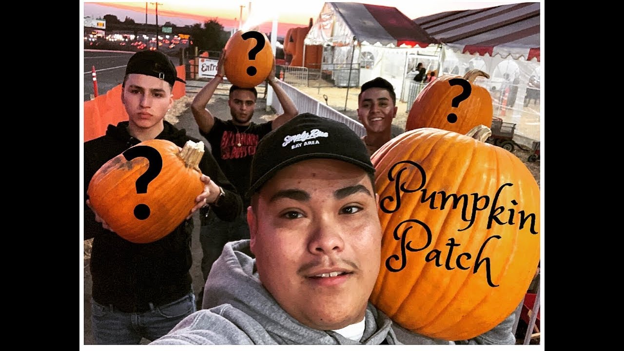 PUMPKIN CARVING COMPETITION YouTube pumpkin-carving-competition-youtube