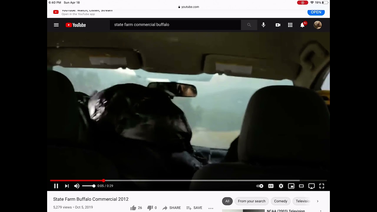 State Farm Magic Jingle Buffalo! - YouTube