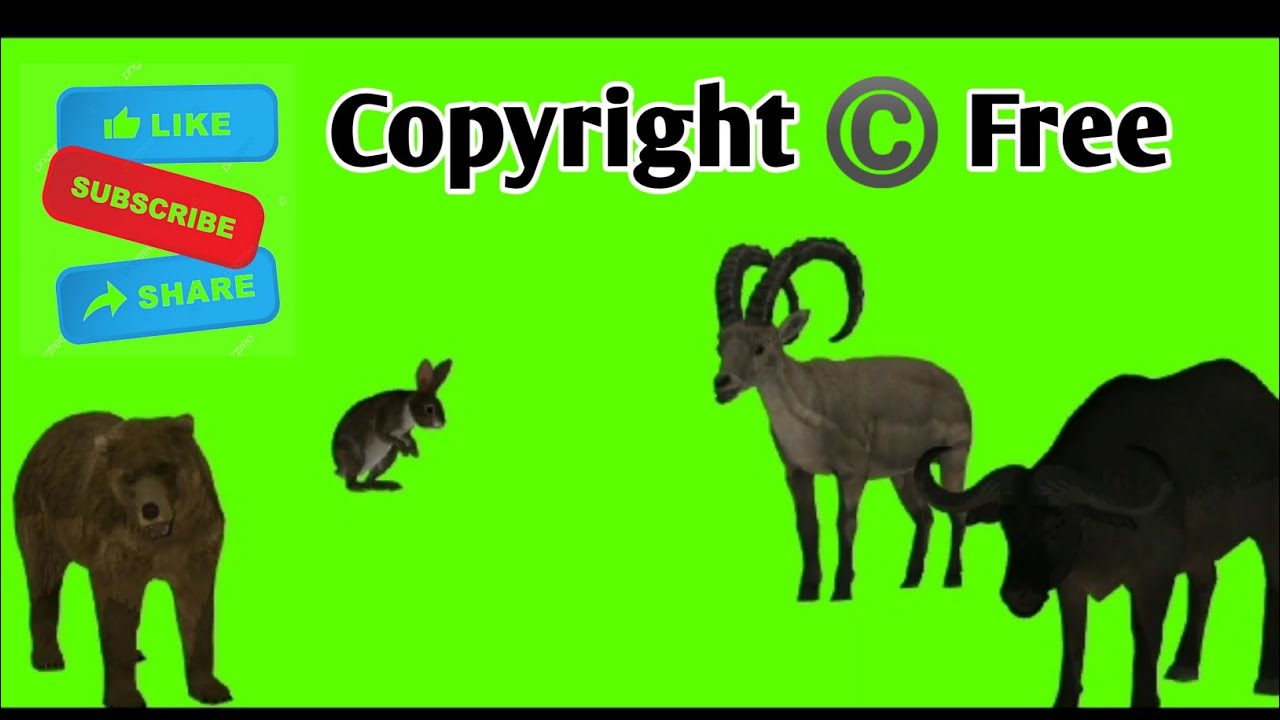 Jungle Animals Green Screen | Dinosaurs walking green screen - YouTube