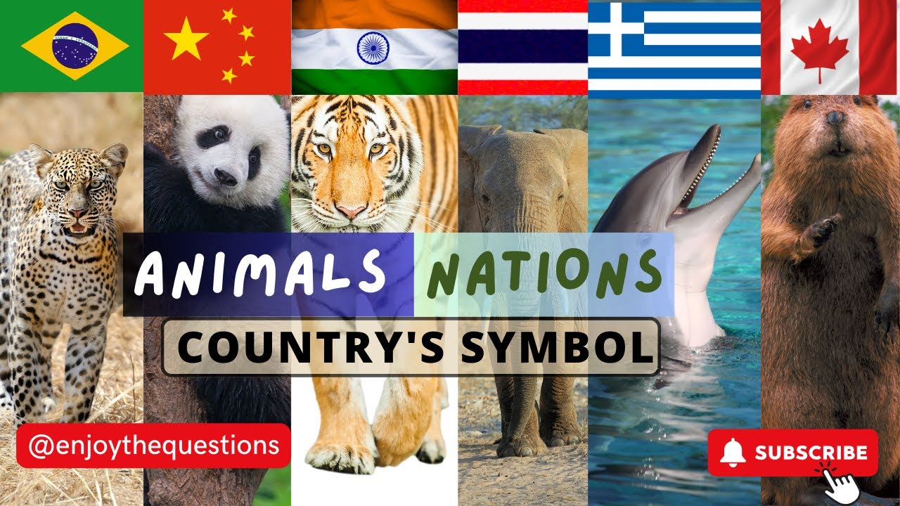Discover the Fascinating National Animals of Different Countries! - YouTube