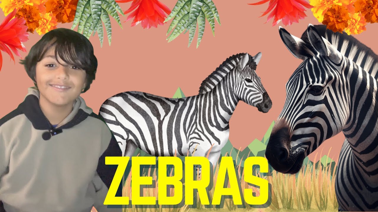 Happy World Zebra Day: Amazing Zebra Facts and How We Can Help! 🦓🌍 ...