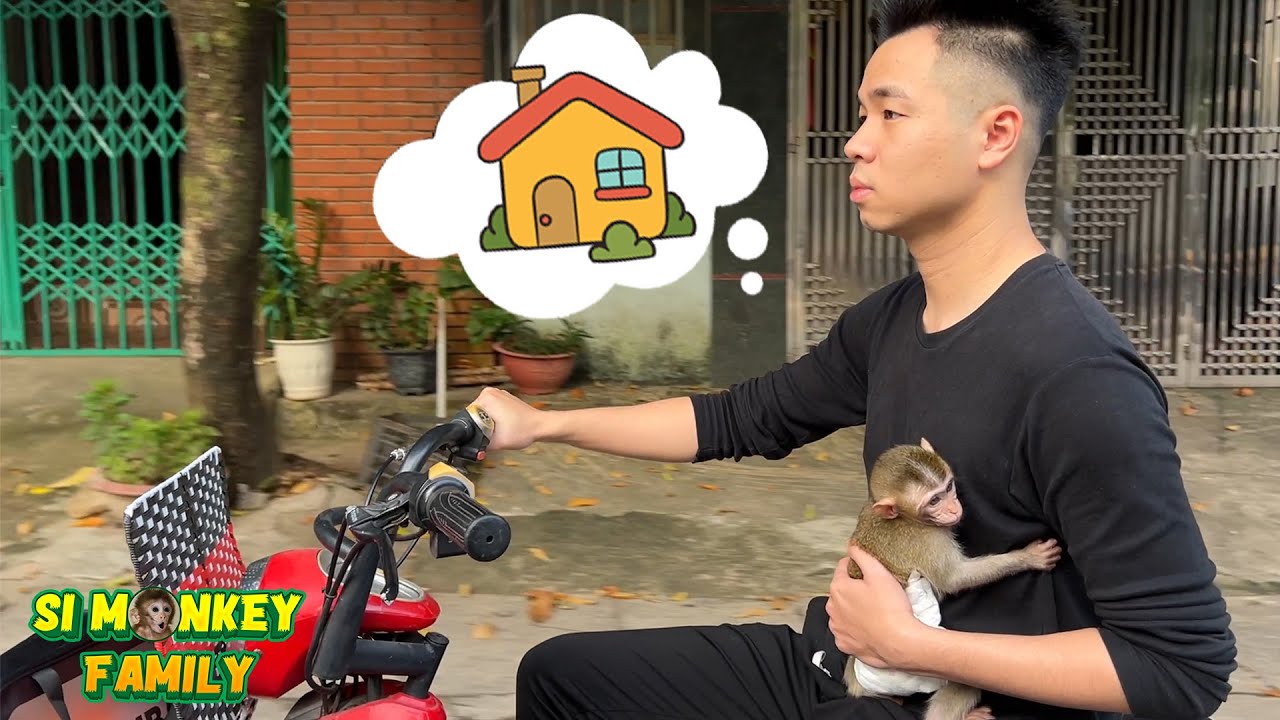 Welcome monkey Si to his new home - YouTube