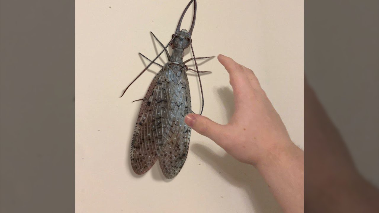 why did i squeeze this BUG.. - YouTube