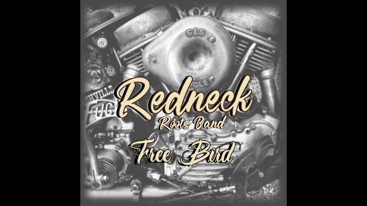 Free Bird ( cover Lynyrd Skynyrd) Redneck roots Band - YouTube