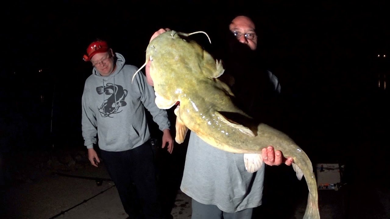 Catching blue and flathead catfish - YouTube