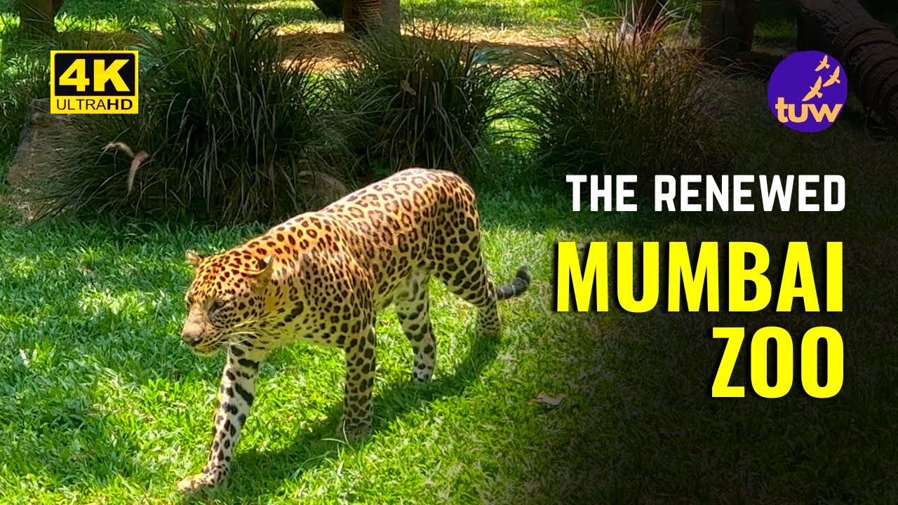 ️ See Why The Renewed Mumbai Zoo is One of The Best Places to Visit in ...