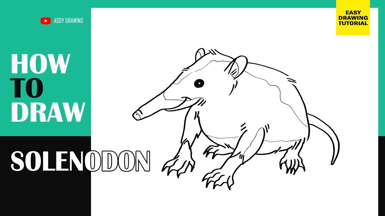 How to Draw Solenodon - YouTube