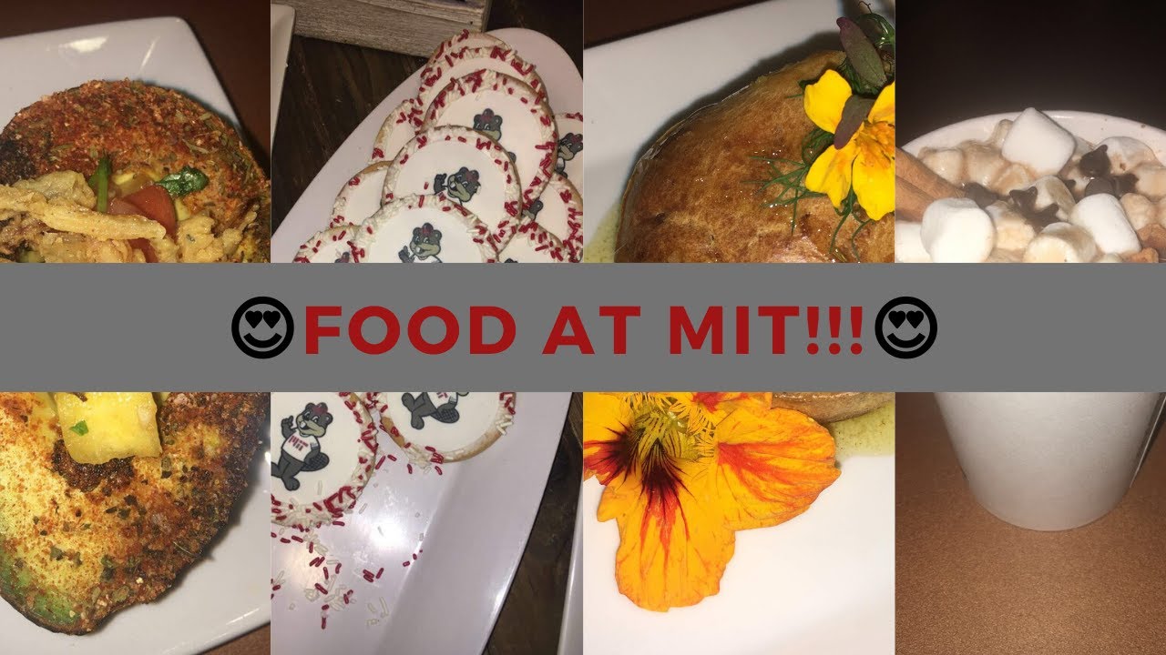 My First Semester Experience at MIT! Part 1: Food - YouTube