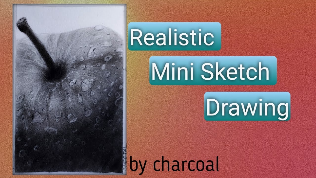 Realistic mini Drawing by charcoal | Charcoal drawing | mini_sketch ...