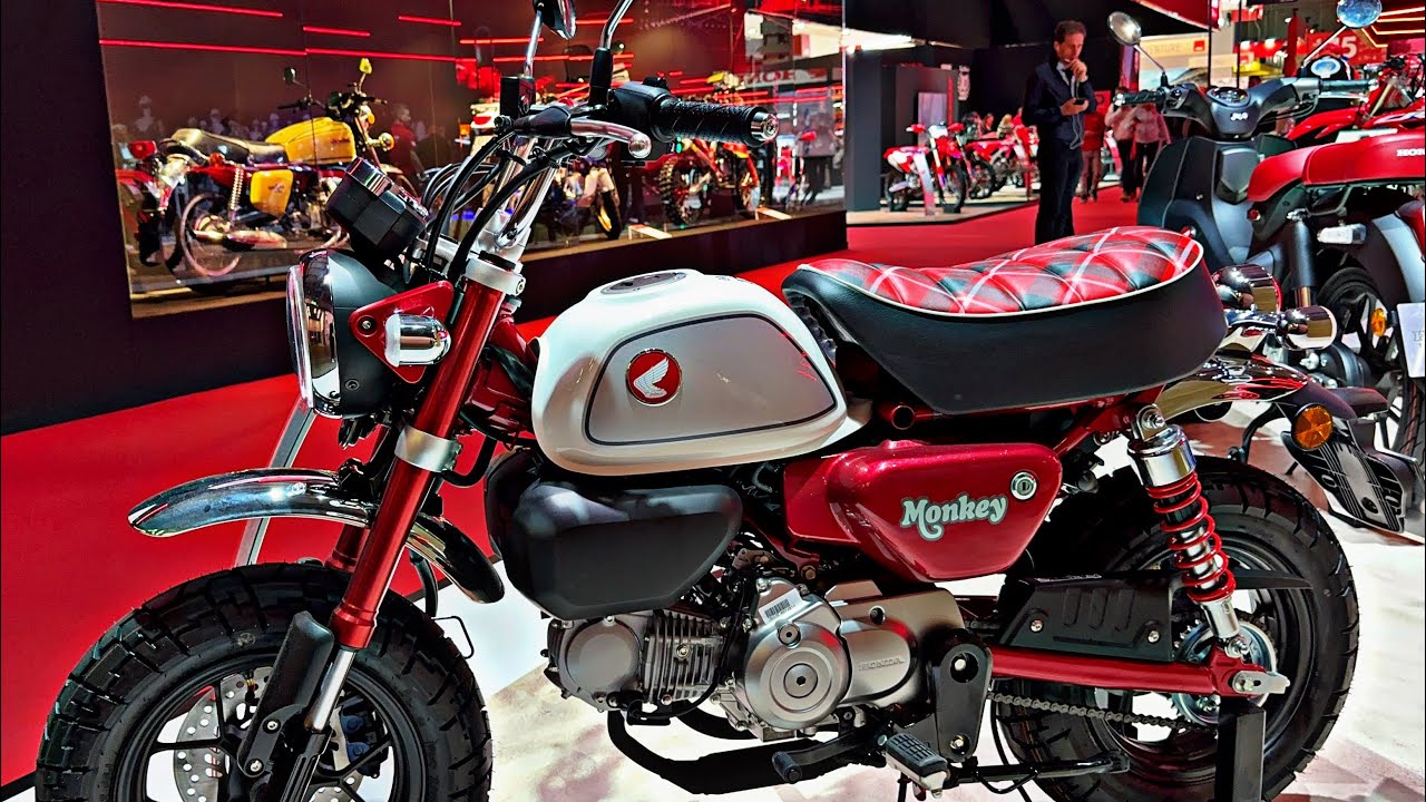10 Best Honda Mini Bikes & Scooters For 2024 - YouTube