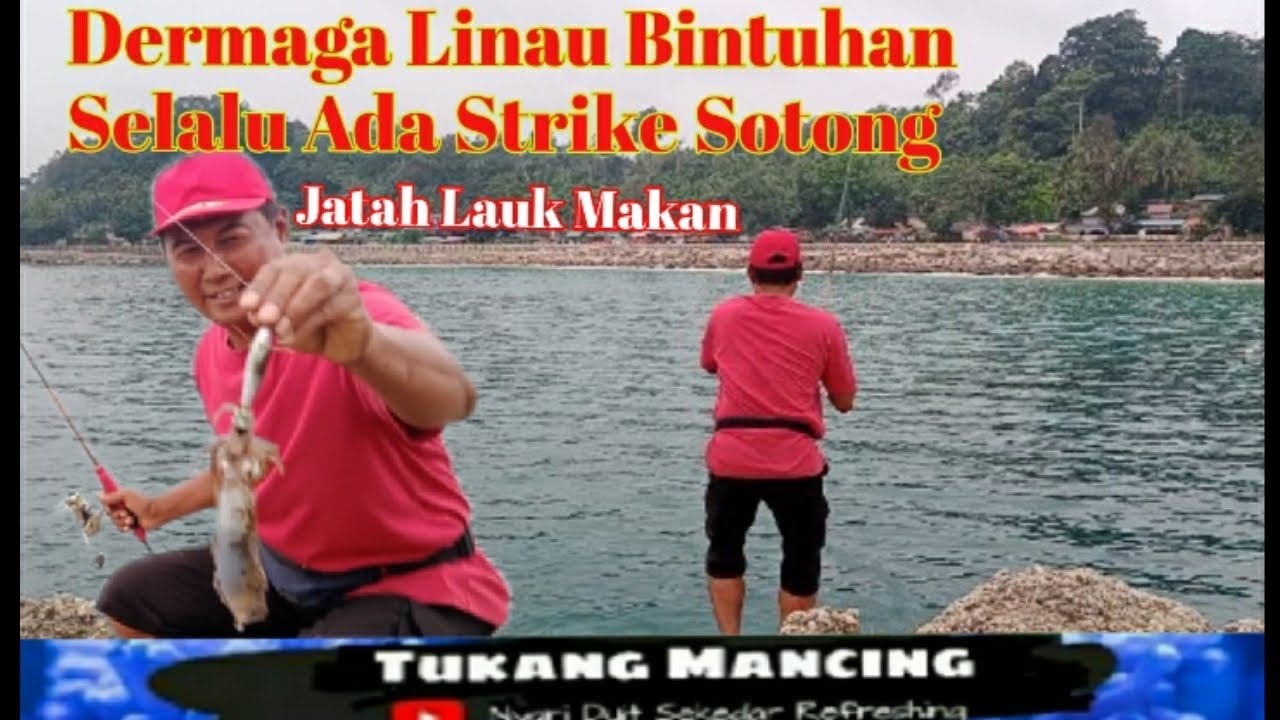 Dermaga Linau Bintuhan Selalu Ada Strike Sotong Jatah Lauk Makan ...
