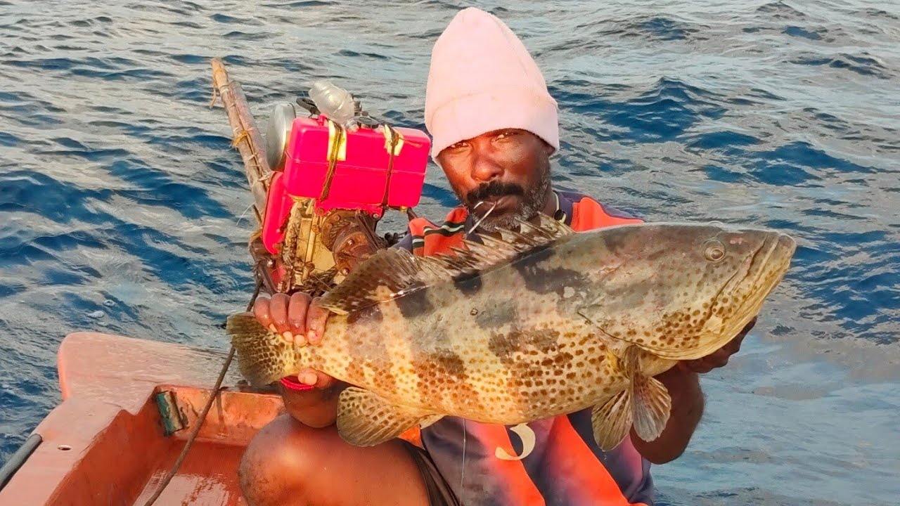 snapper, Grouper fish Hunting - YouTube