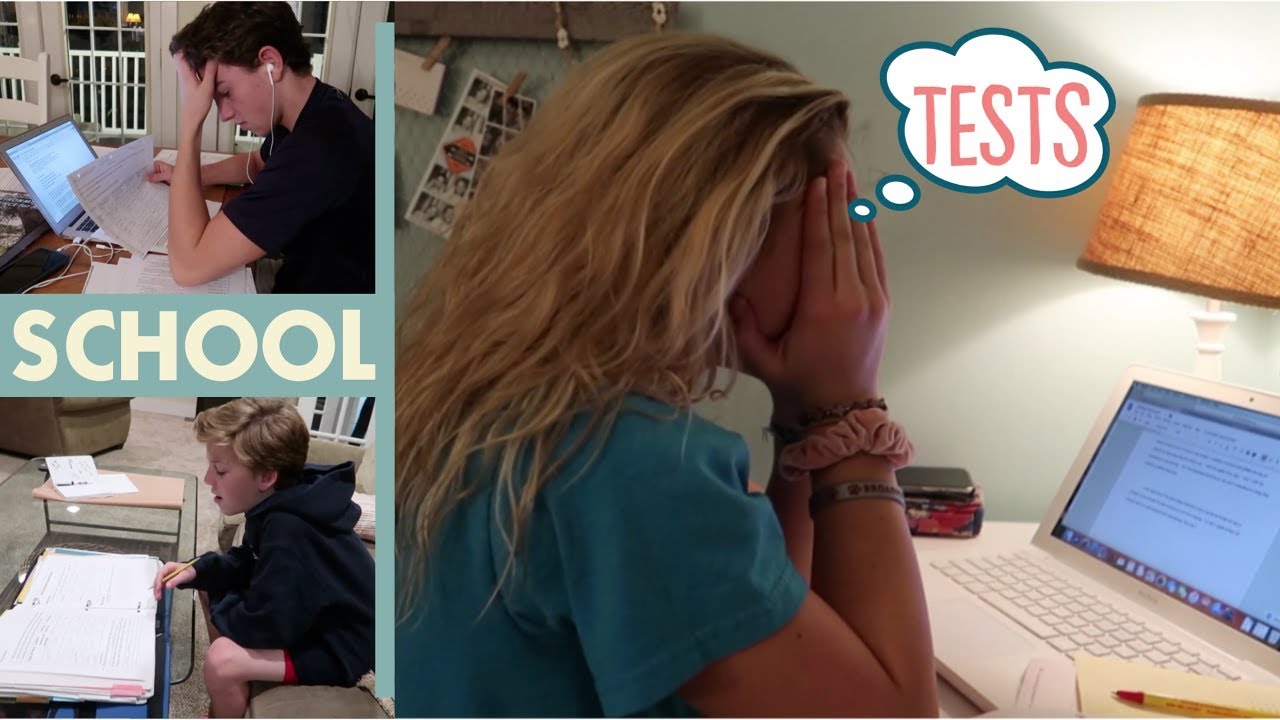 It's The School Grind: Studying for Quarterly Exams + Millie Buttons ...