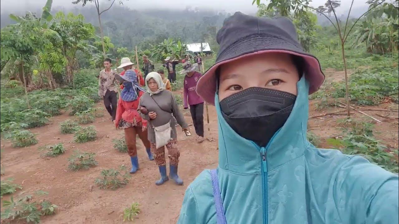 mus nrog niam ntxawm ca nkawv cog nplej teb 5/6/2023 - YouTube