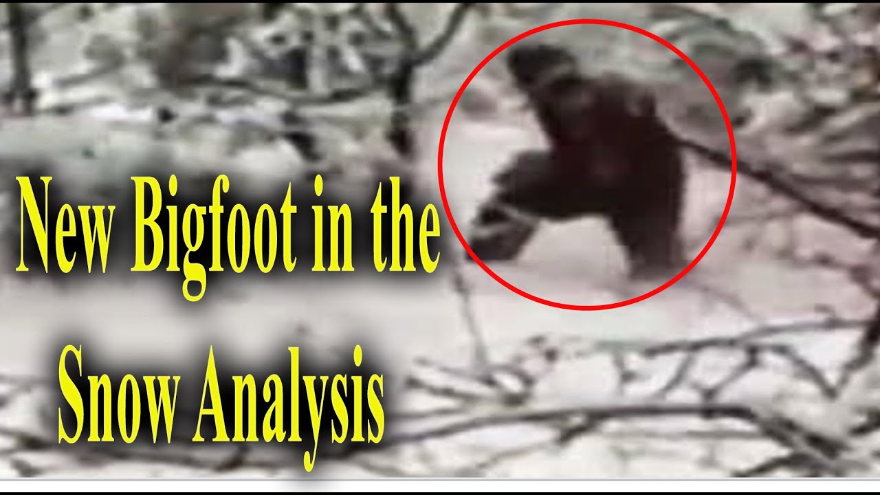 New Bigfoot in the Snow Analysis. Sasquatch footage - YouTube