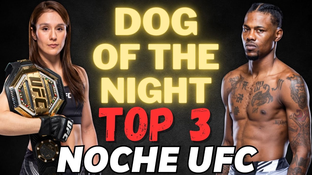 Noche UFC | Dog of the Night Candidates - YouTube