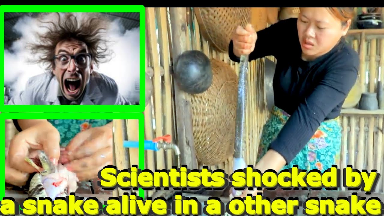 A snake alive: The biggest mysteries that science has yet to solve ...