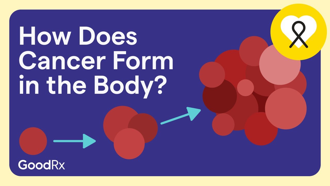 How Does Cancer Form in the Body? | GoodRx - YouTube