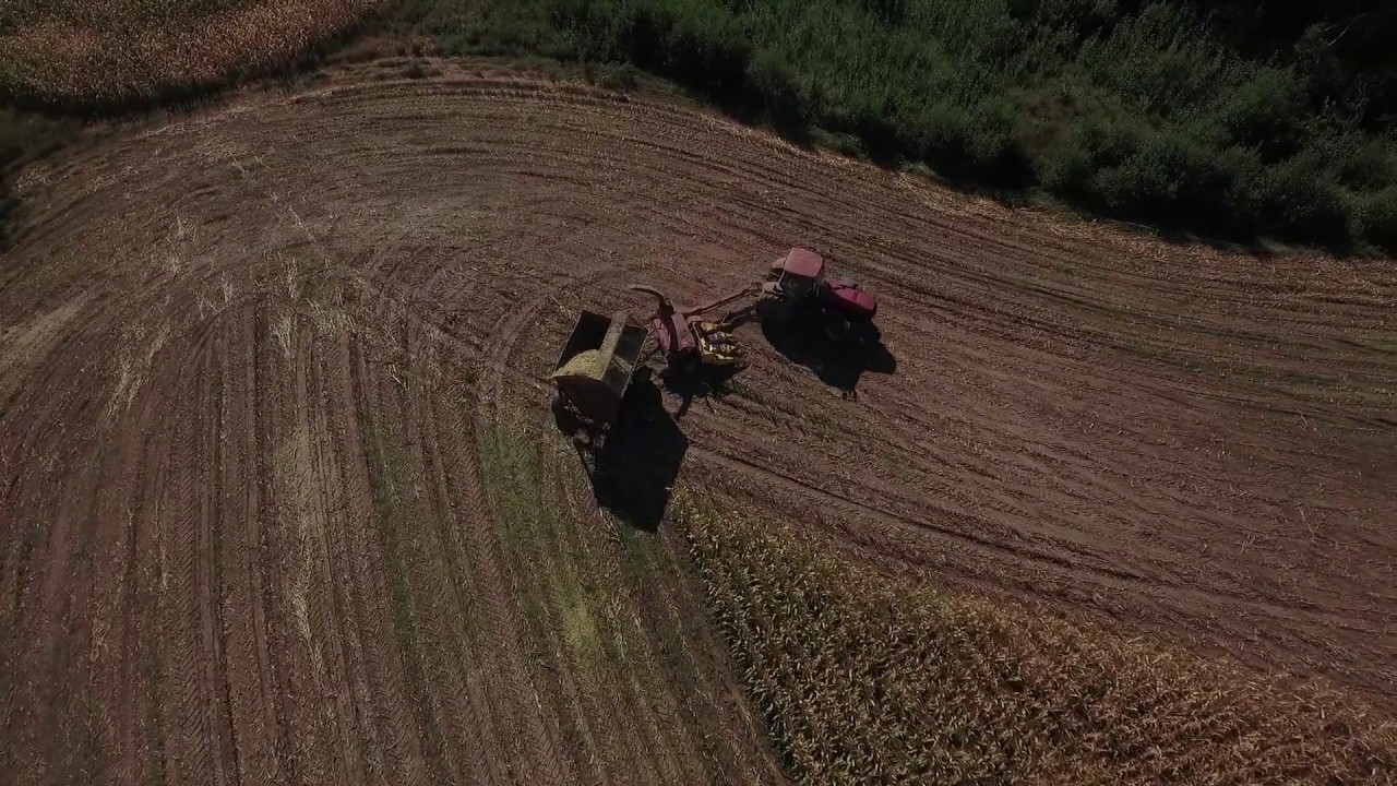 Chopping Corn in Knox Maine - YouTube