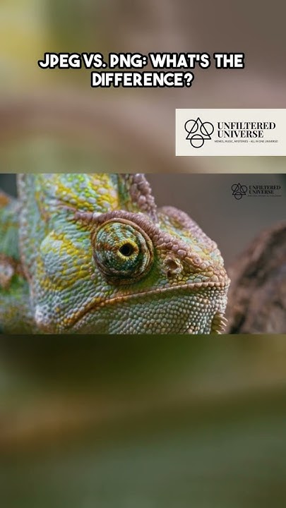 JPEG vs. PNG Explained | STOP Using the Wrong Image Format ! - YouTube