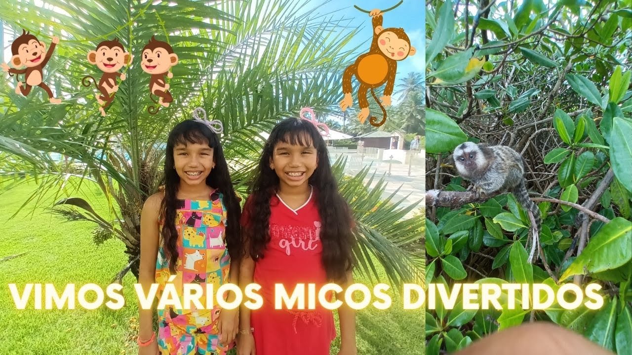 Que micos divertidos. - YouTube