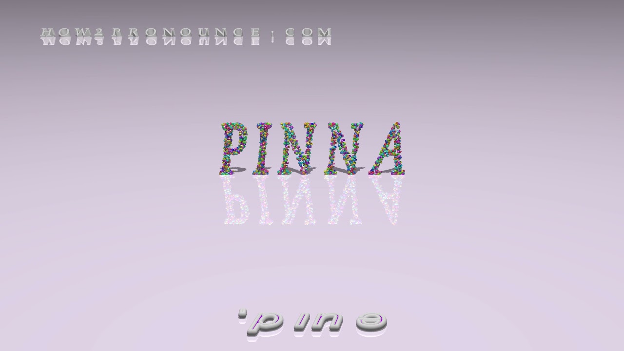 pinna - pronunciation - YouTube